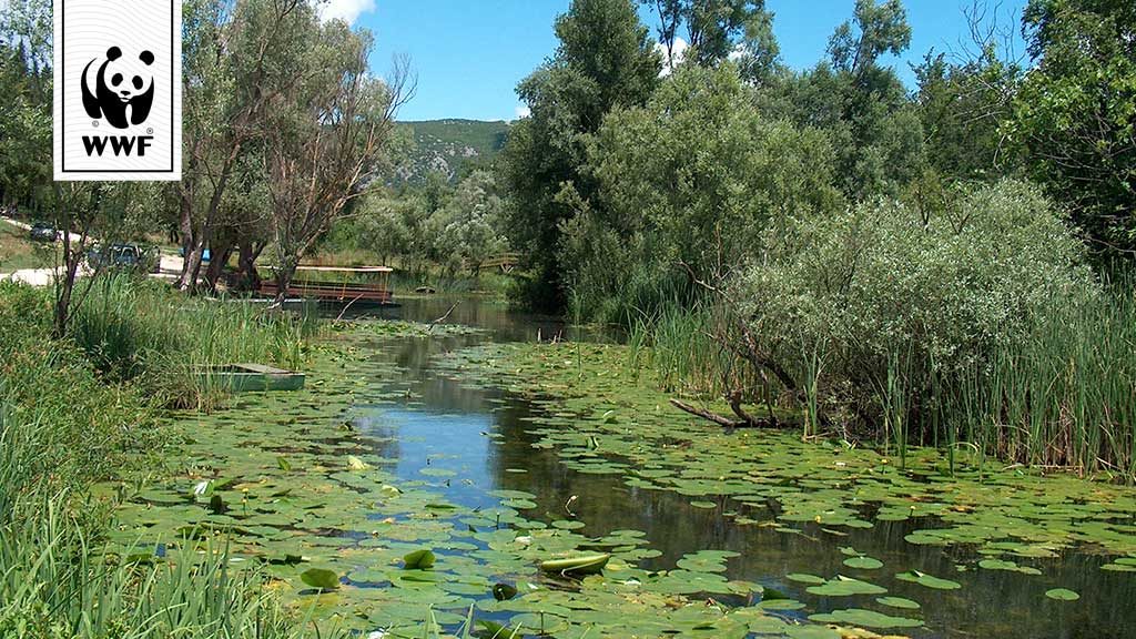 zaštićena-područja-za-prirodu-i-ljude - Park prirode Hutovo blato