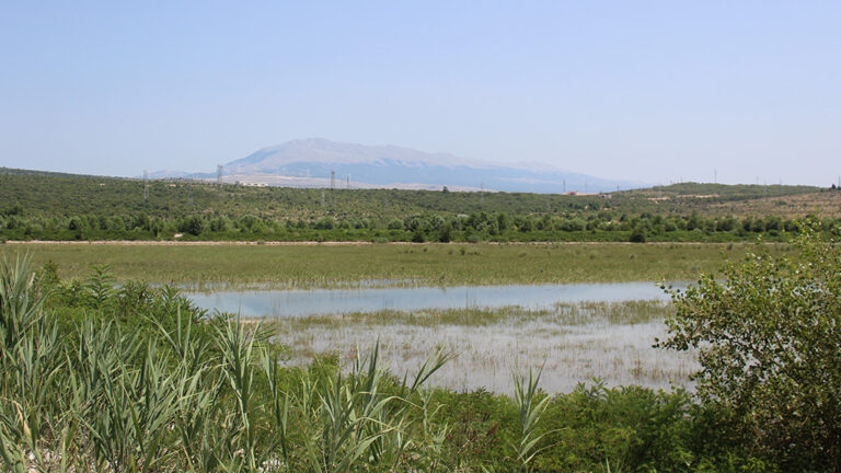 istrazivanje-mostarsko-blata-2 - Park prirode Hutovo blato